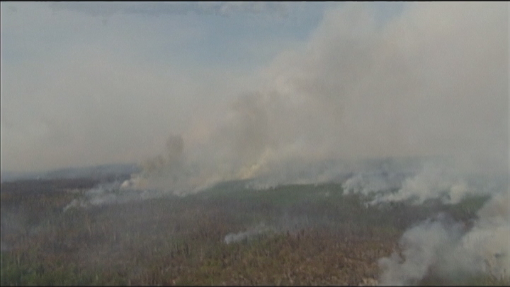 Video: Un incendio arrasa un bosque en Canadá | ORAIN