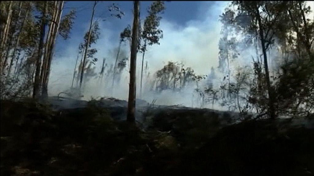 Video:Graban cómo se origina un incendio provocado