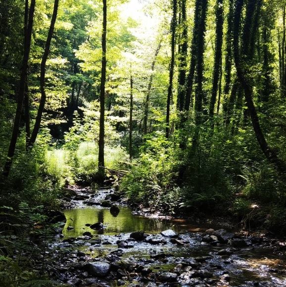 El futuro de Bolintxu en entredicho por la construcción de la Supersur