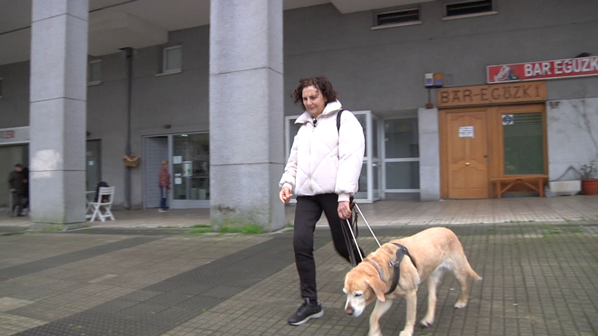 Vídeo: La importancia del perro guía para las personas invidentes