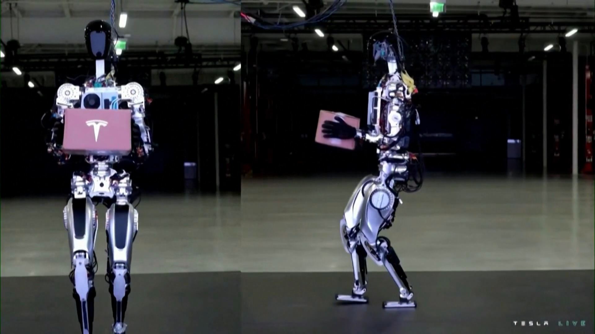 Vídeo: Así es Optimus, el robot humanoide de Tesla enfocado al trabajo ...