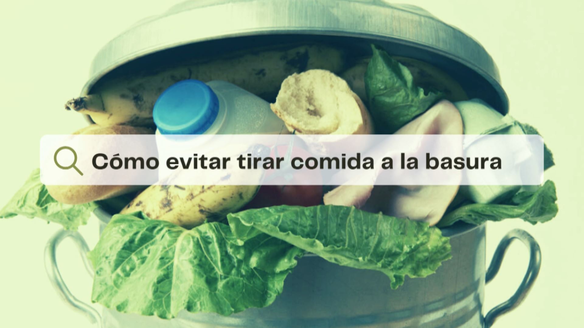 Vídeo consejos de la OCU: ¿Qué podemos hacer para no tirar comida en ...