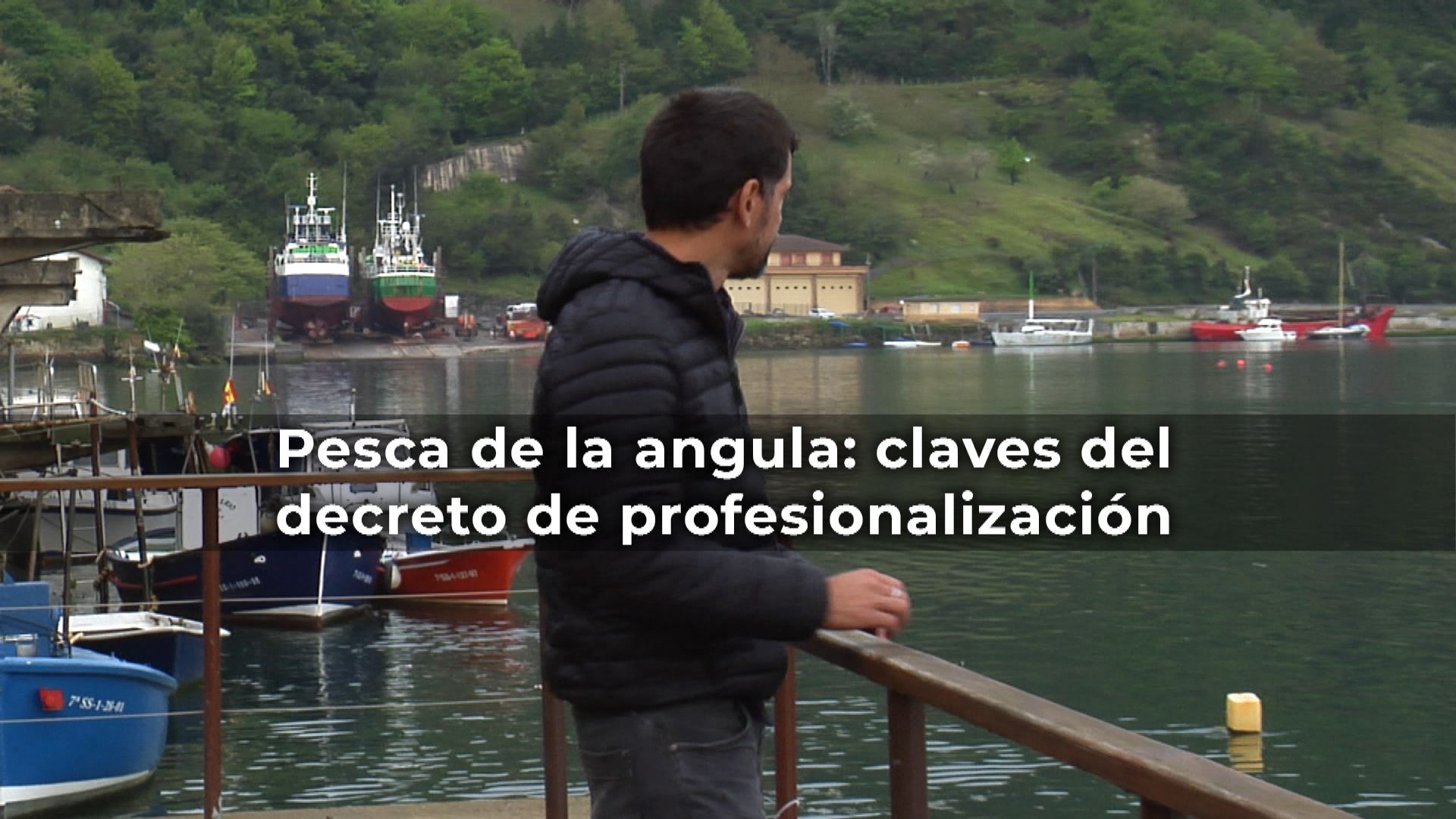 Vídeo: Claves de la nueva norma que permite la pesca de la angula en ...