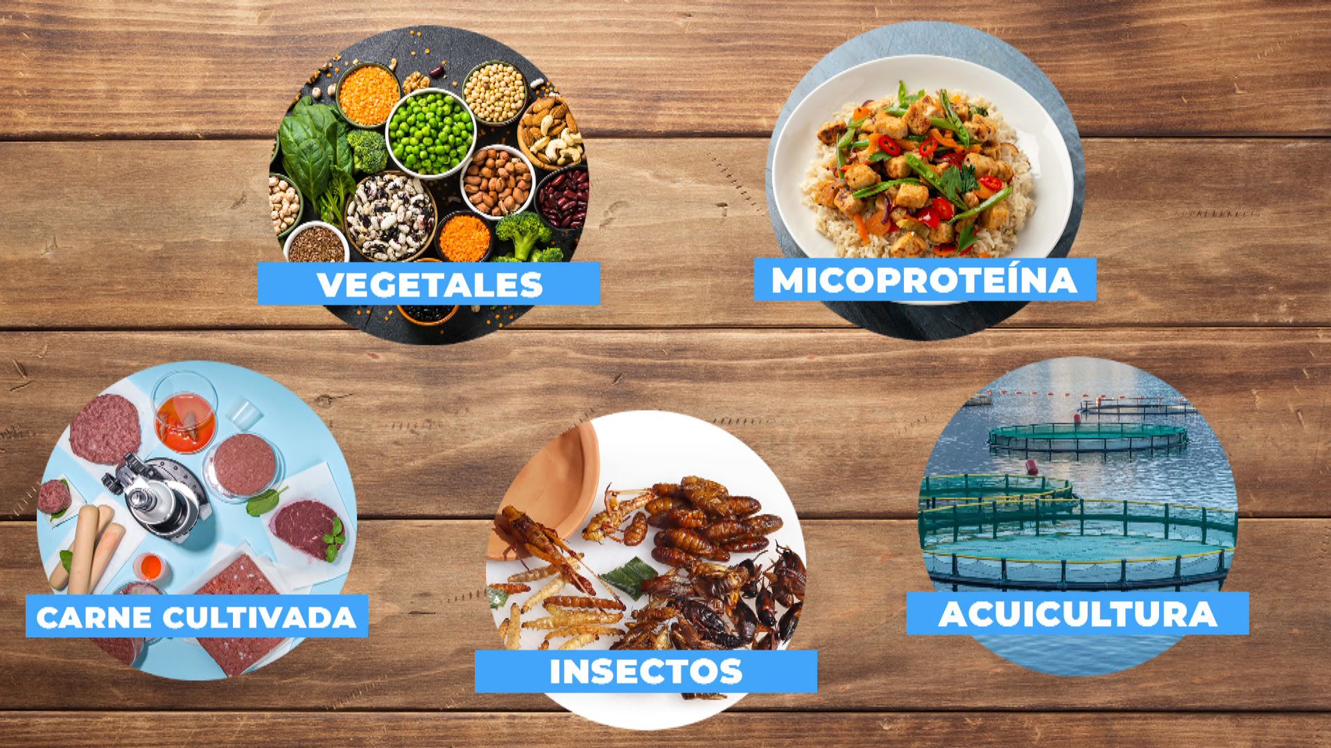 Proteínas alternativas: el futuro ya está aquí | ORAIN