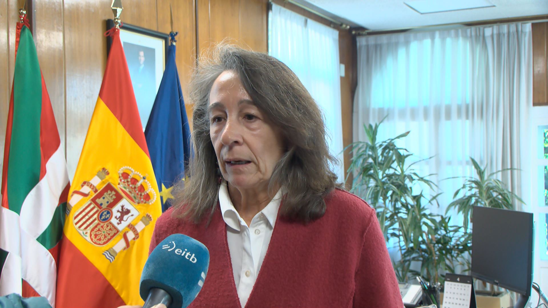 Vídeo: Marisol Garmendia cree que el avión de repatriación de Alexander ...