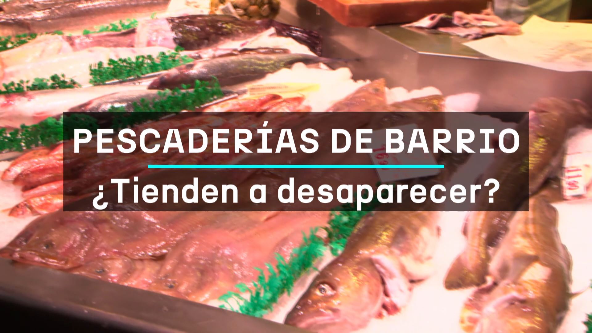 Vídeo: La especialización es el futuro de las pescaderías según Enrique ...