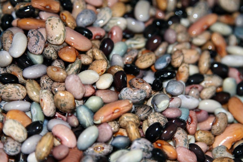 Kontsumobide detecta granos parasitados y moho en un 23 % de sus análisis a legumbres a la venta ...