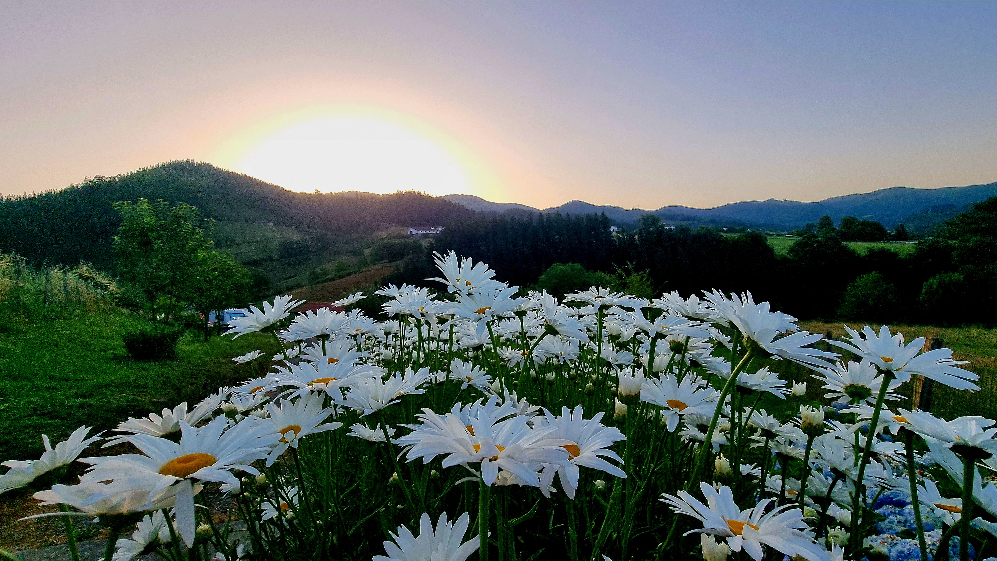 Iryna kournikova telegram wearing a extended t-shirt with